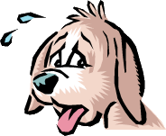 TOP 5 COOLING FOODS FOR YOUR ANIMAL DURING A HEATWAVE: – SOULSTICE SPIRIT